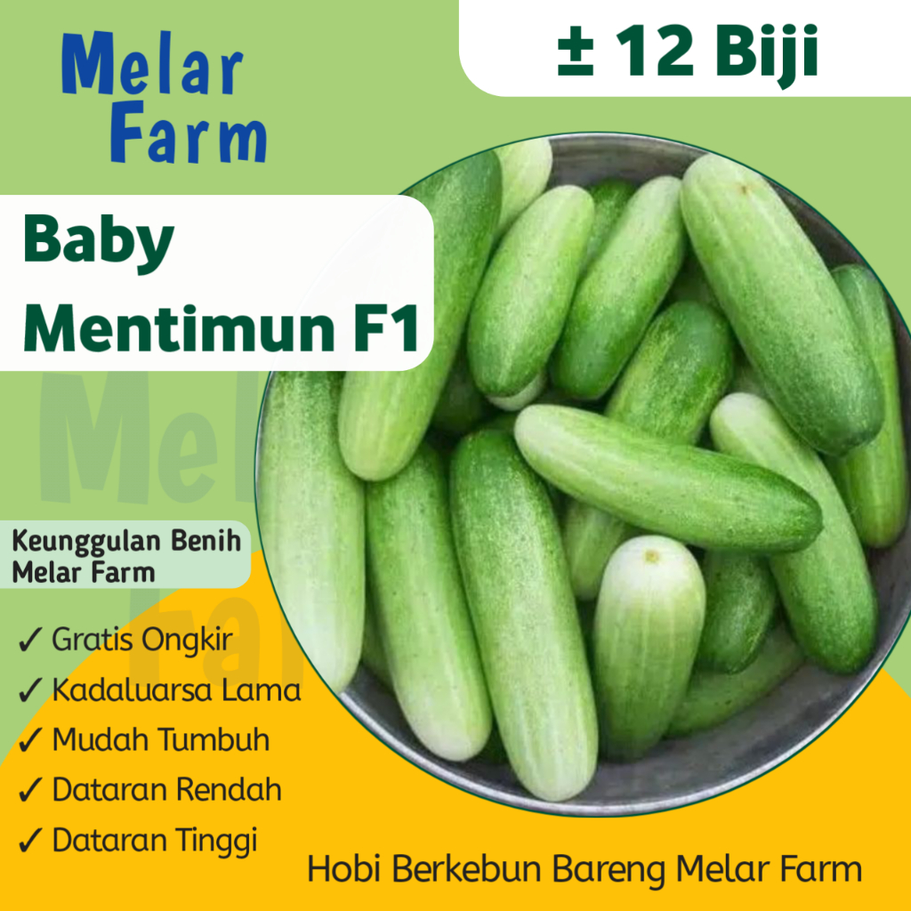 Jual Melar Farm - 12 Benih Sayuran Timun Baby F1 Berkualitas Dan ...