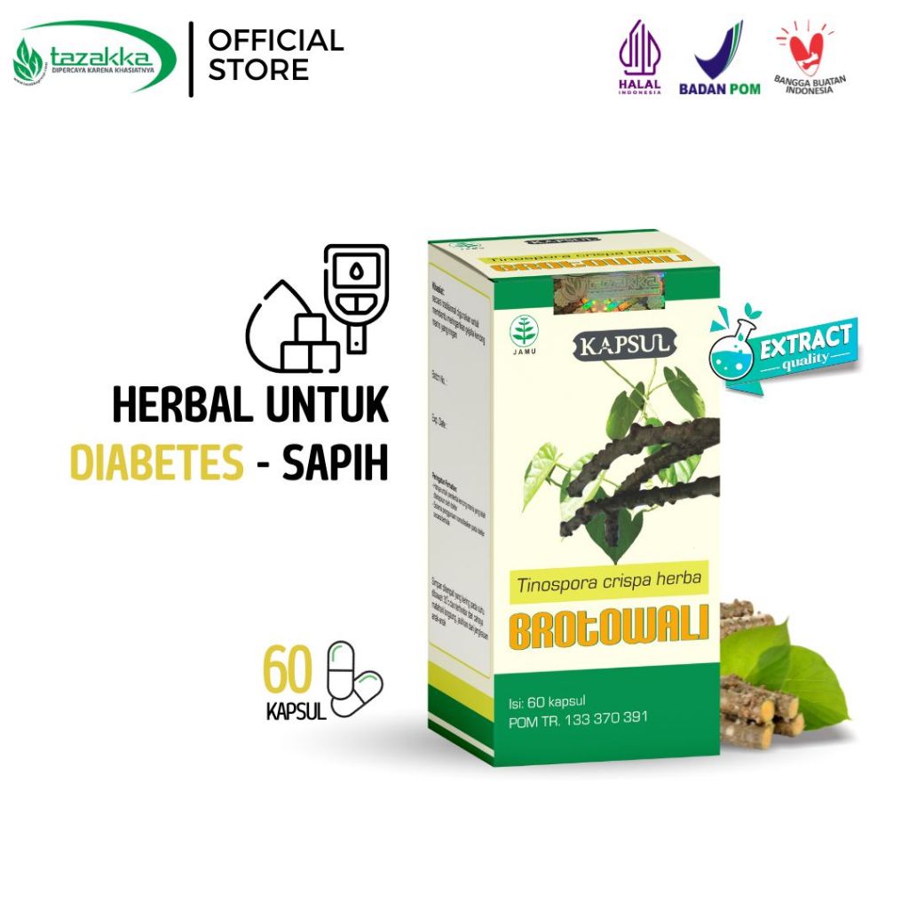 Jual TAZAKKA Ekstrak Kapsul Brotowali Diabetes Jamu Obat Herbal Gatal ...