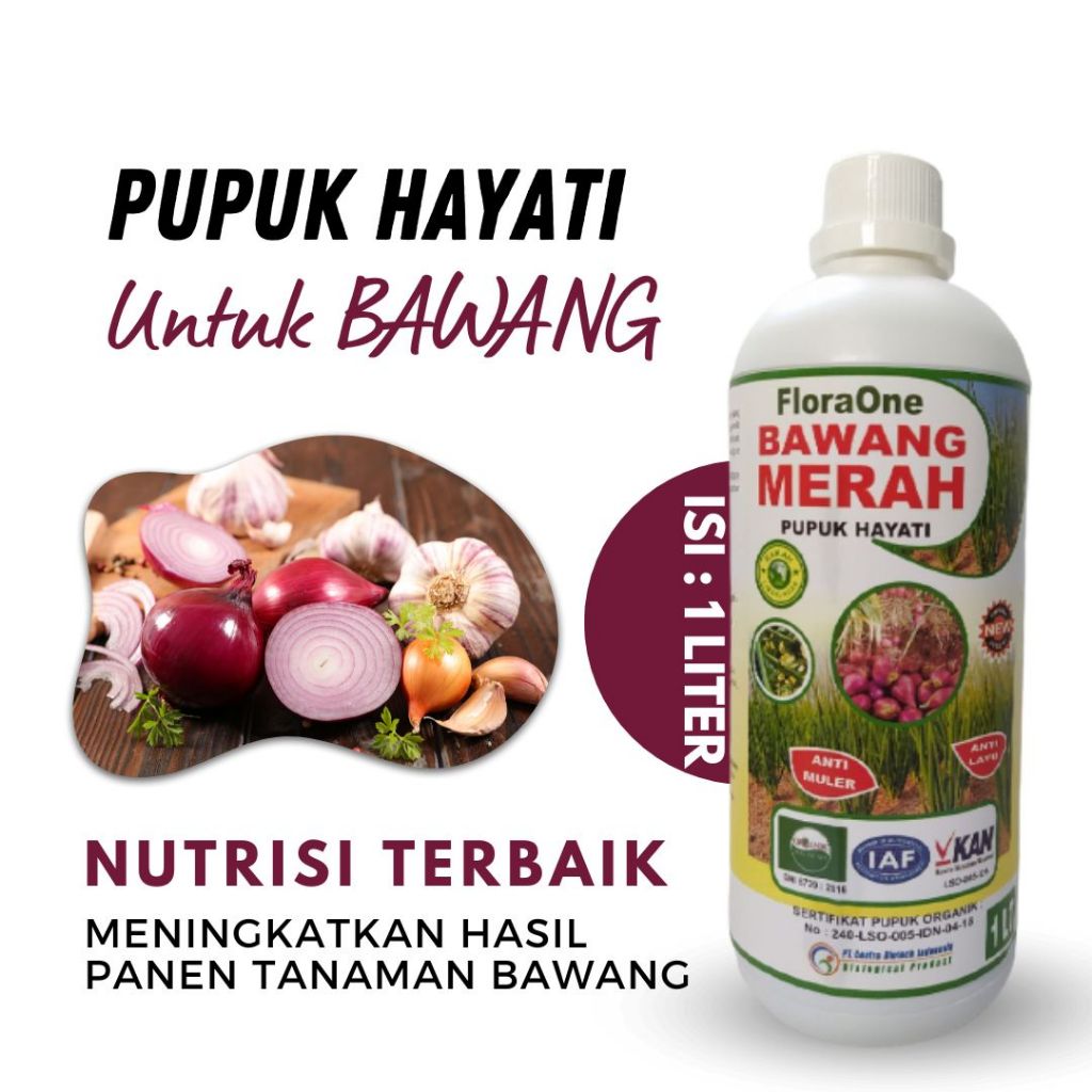 Jual Pupuk Hayati cair bawang merah umur 10 hari 1 L, Fungisida Hayati ... Jual Pupuk Hayati cair bawang merah umur 10 hari 1 L, Fungisida Hayati ...