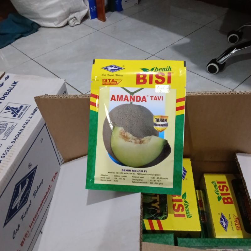Jual Benih Melon Jumbo Bangkok Amanda Tavi F1 (Tipe Melon Madu Manis ...