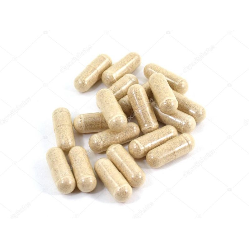 Jual ekstrak ikan gabus 100% albumin | Shopee Indonesia