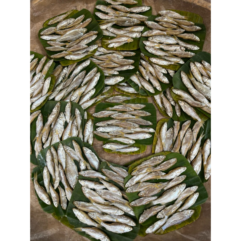 Jual IKAN BILIH BASAH KHAS SINGKARAK | Shopee Indonesia