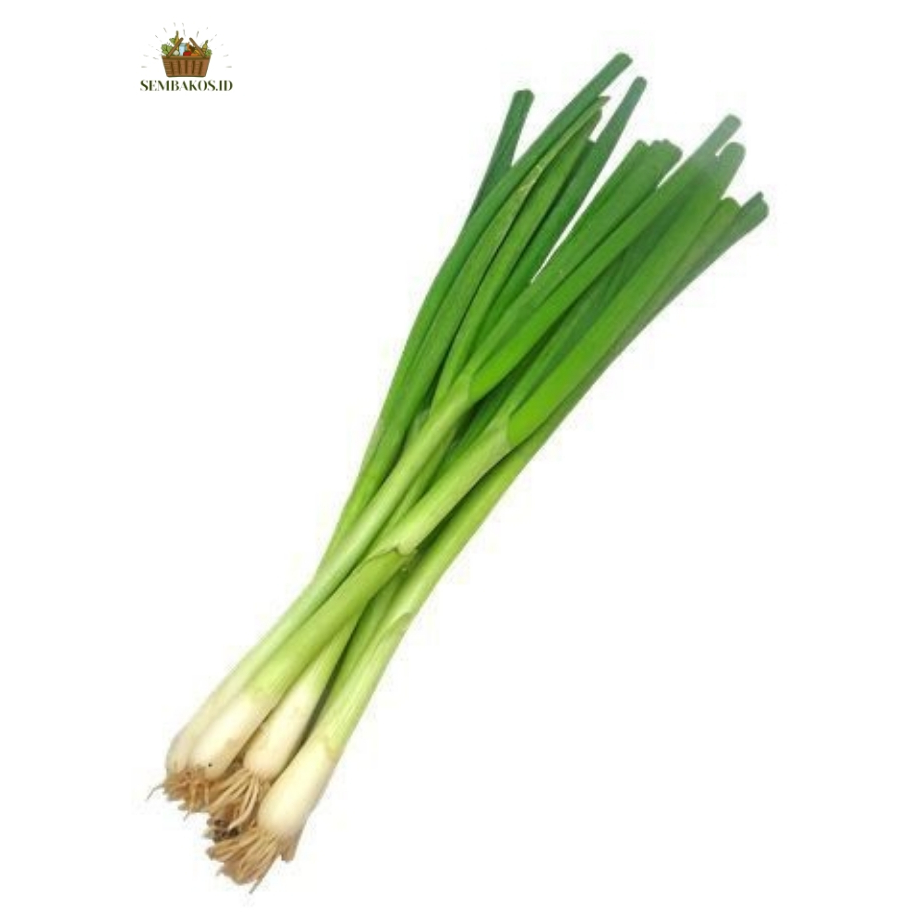 Jual Bawang Prei Terlengkap & Harga Terbaru Mei 2026 | Shopee Indonesia