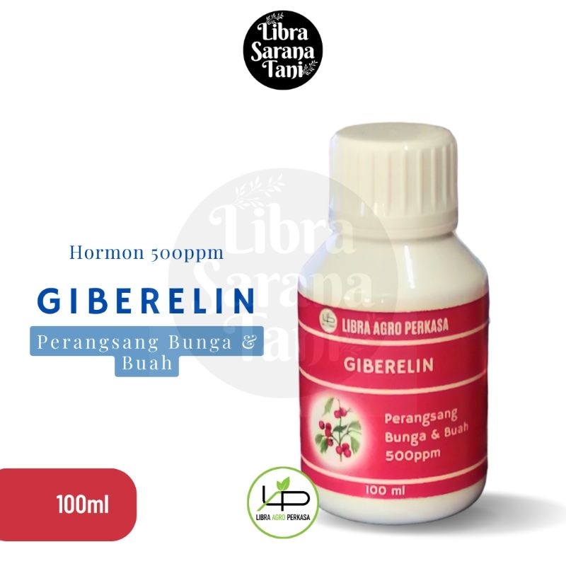 Jual Hormon Giberelin Murni 500ppm Libra 100ml pemicu pertumbuhan buah ...