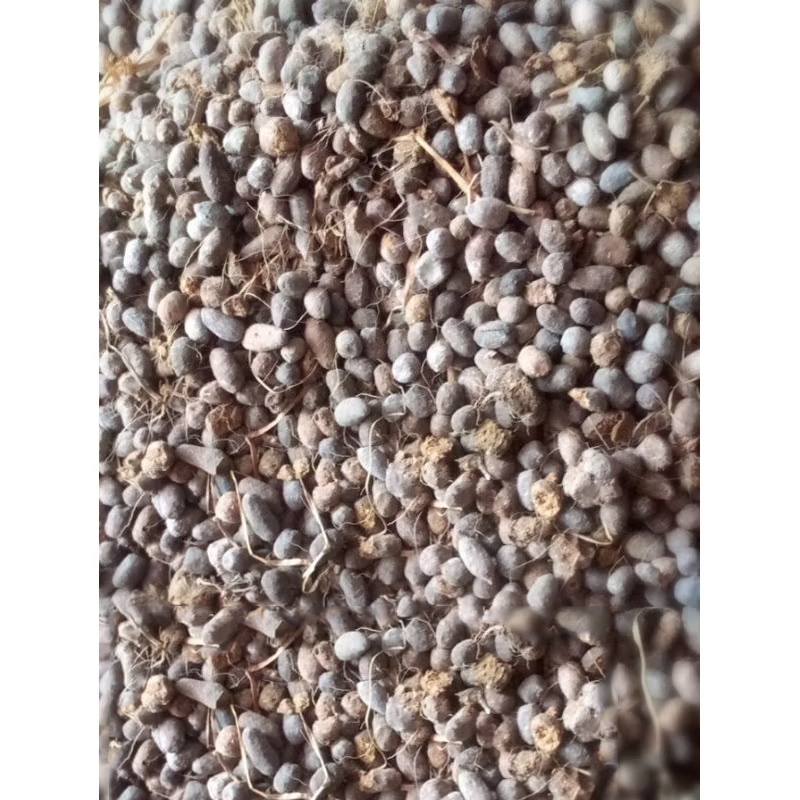 Jual Termurah Pupuk kandang kohe kotoran hewan tai kambing terbaik ...