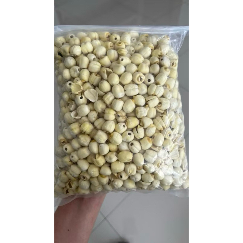 Jual Biji Teratai / Lotus Seed / Lien Zi HK / 50gr murah | Shopee Indonesia