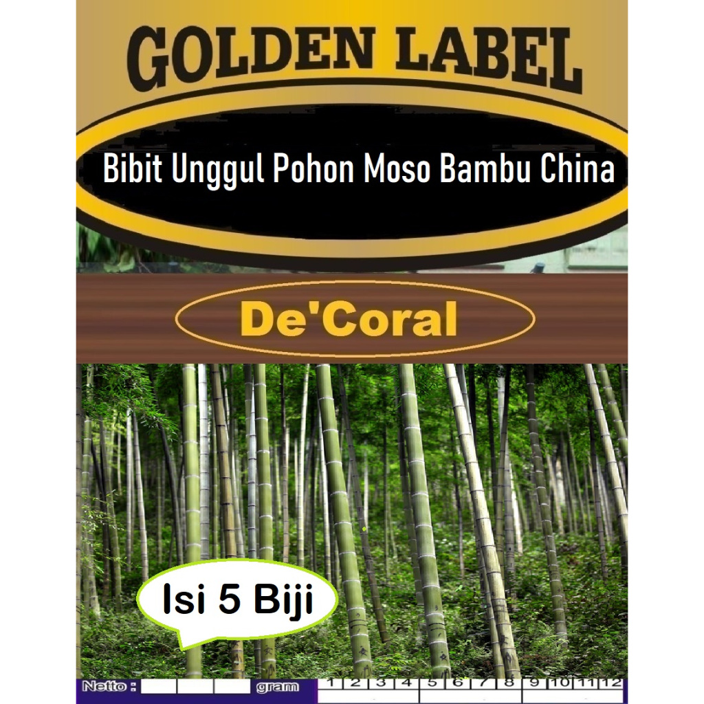 Jual Bibit Unggul Pohon Moso Bambu China | Biji Benih Pohon Bambu China ...