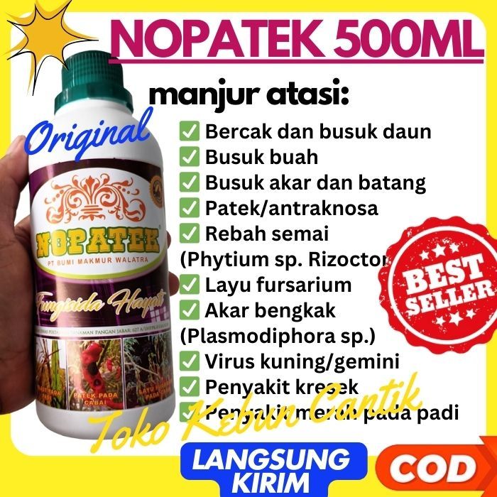 Jual NOPATEK Fungisida Hayati untuk Patek Cabe dan Penyakit Tanaman ...