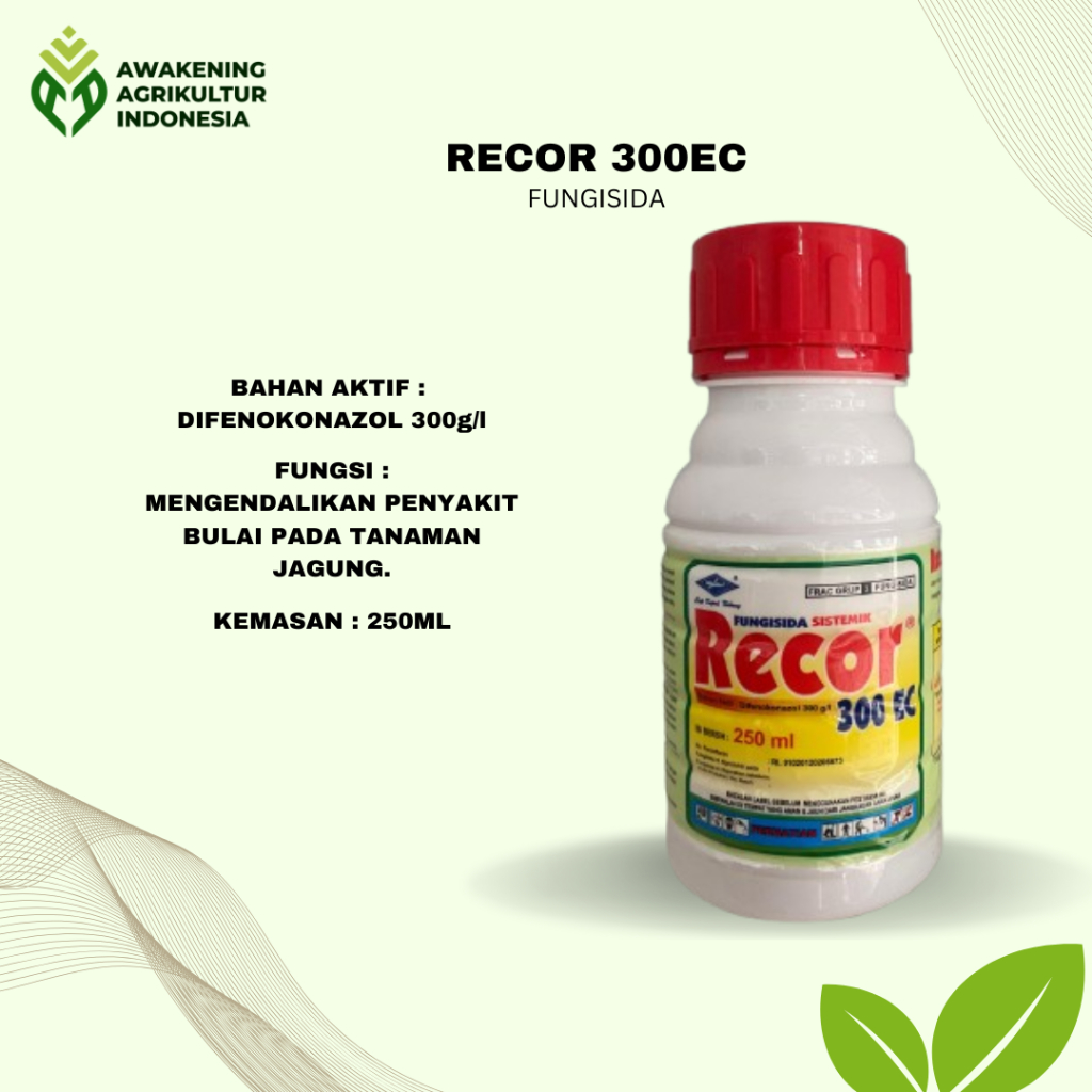 Jual RECOR 300EC FUNGISIDA SISTEMIK 250ML | Shopee Indonesia
