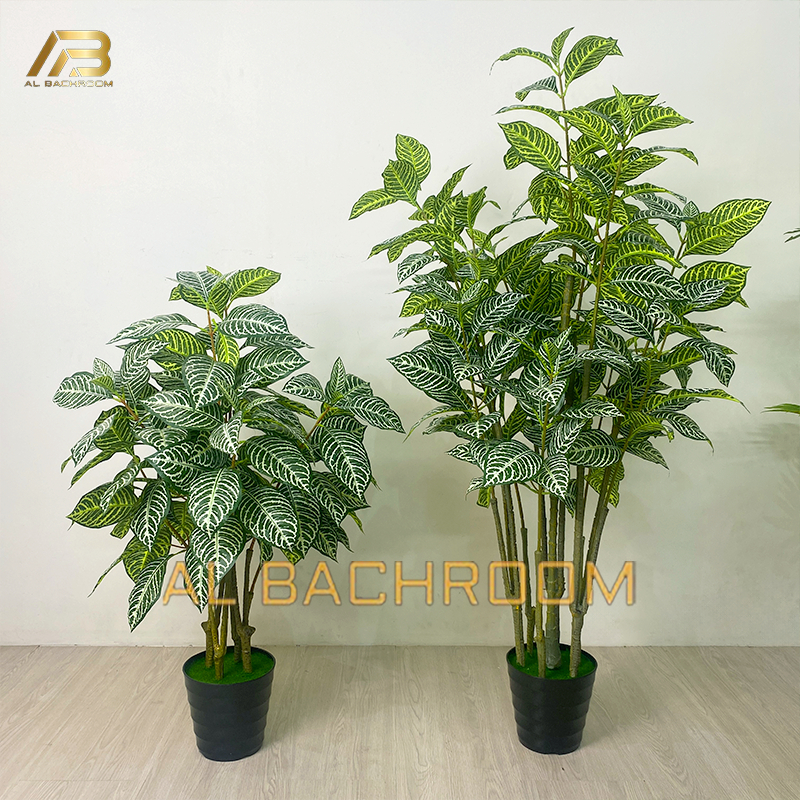 Jual 1 PAKET TANAMAN HIAS PLASTIK DAUN ALPHELANDRA ZEBRA TANAMAN ...