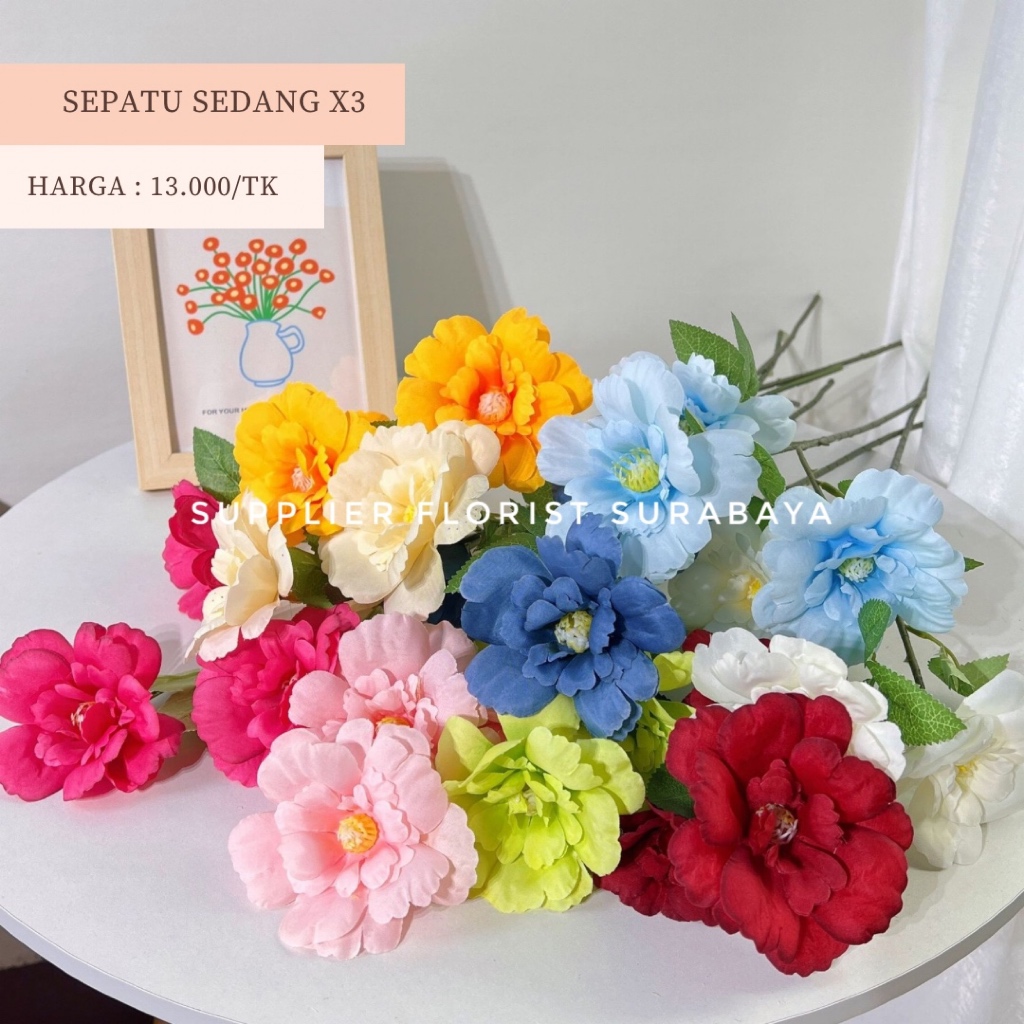 Jual [SEPATU SEDANG X3] KEMBANG SEPATU BUNGA SEPATU HIBISCUS BUNGA ...