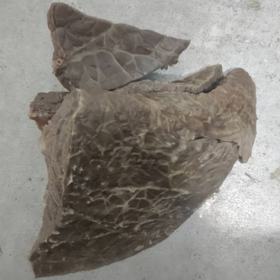 Jual Paru Sapi Rebus 500gr - 1kg | Shopee Indonesia