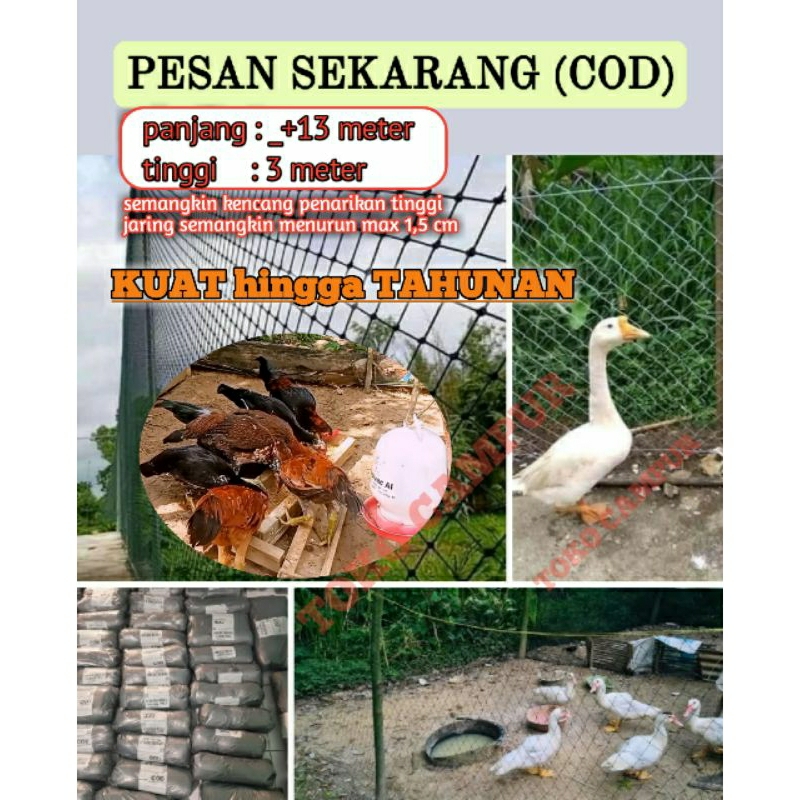 Jual SUPER PREMIUM JARING PAGAR AYAM DAN TANAMAN, JARING PAGAR AYAM ...