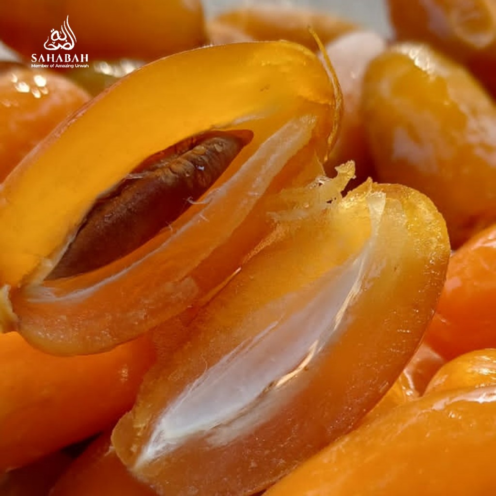 Jual Kurma Ruthob Libya 1kg Fresh Kurma Muda Ruthab Libya Segar Bisa ...