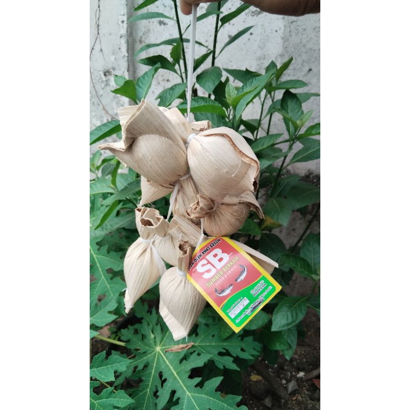 Jual pudak - oleh-oleh khas Gresik - aneka varian rasa | Shopee Indonesia