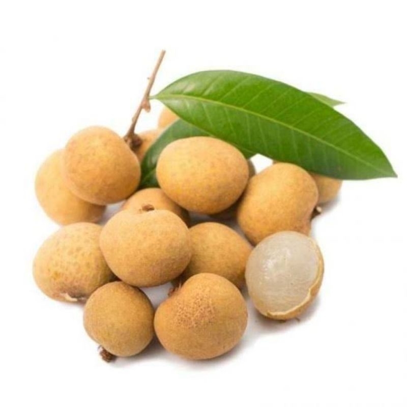 Jual kelengkeng bangkok daging tebal manis per 1kg | Shopee Indonesia