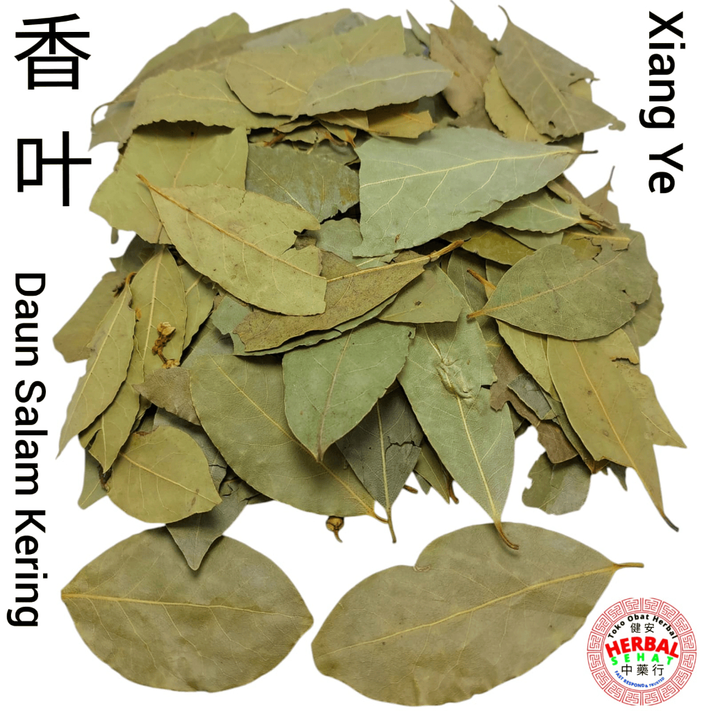 Jual Xiang Ye - Daun Salam Kering - Bay Leaf Leaves - Xiangye - Daun ...