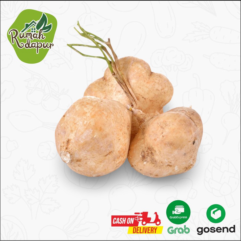 Jual BENGKOANG SEGAR / BENGKUANG / BERAT 1 KG | Shopee Indonesia