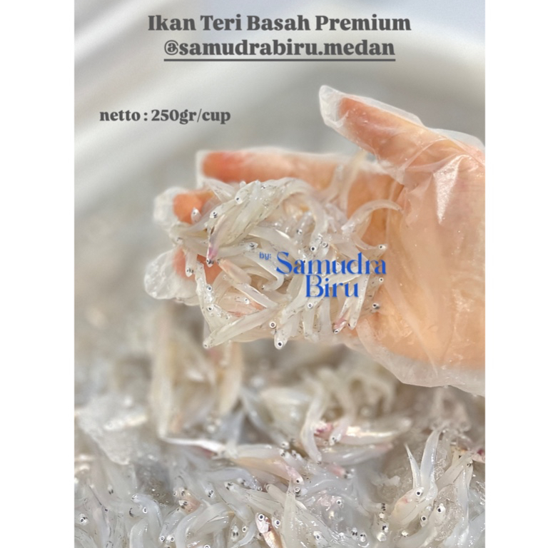 Jual Ikan Teri Basah Grade A Medan Alami tanpa pengawet Harta Karun ...