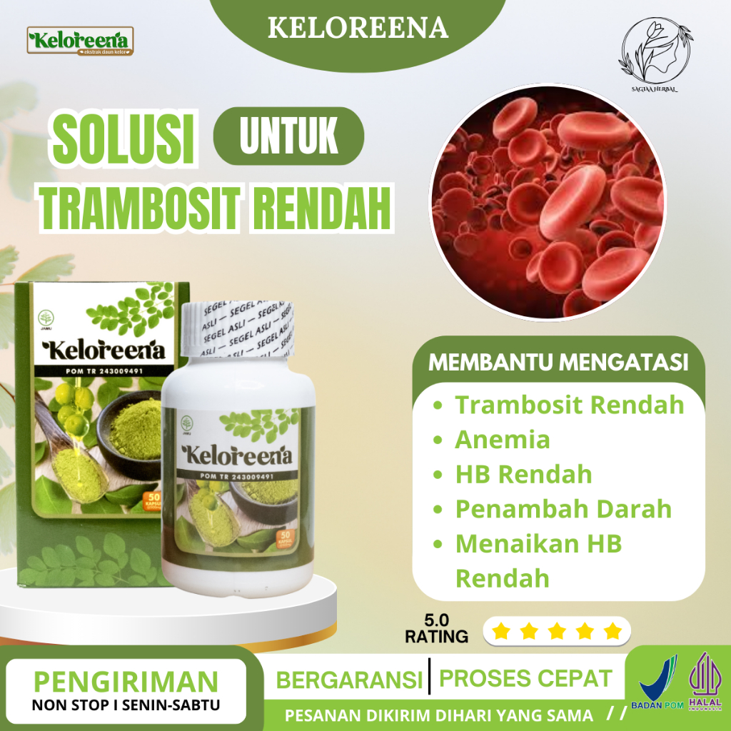 Jual Obat Trambosit Rendah Anemia HB Rendah Penambah Darah Menaikan HB ...