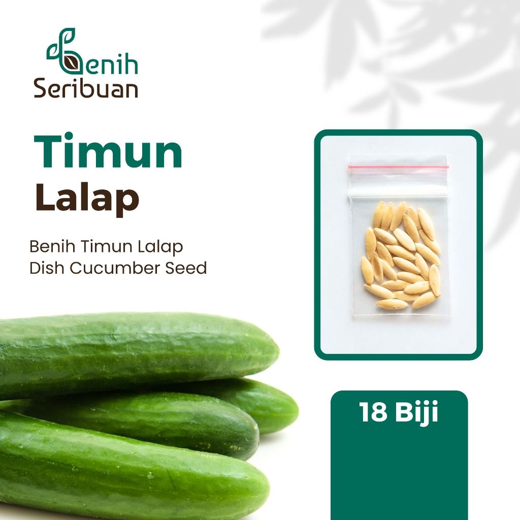 Jual Benih Seribuan - 15 Benih Sayuran Timun Lalap | Shopee Indonesia