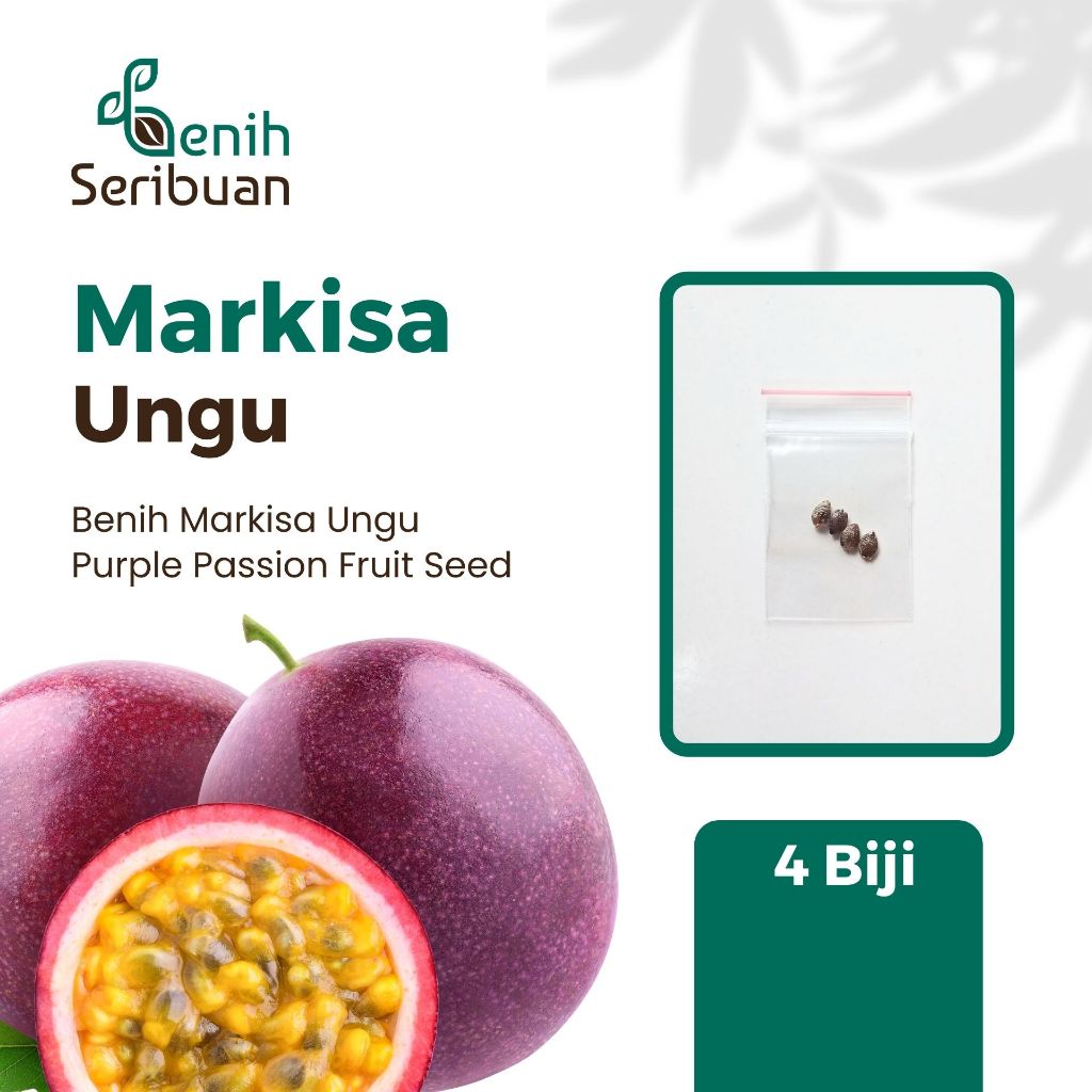 Jual 4 Benih Bibit Buah Markisa Ungu Manis Super Tanaman Buah Buahan Markisa Madu Premium ...