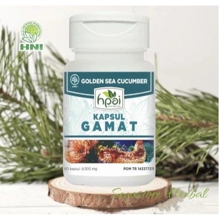 Jual GAMAT KAPSUL Ekstrak Teripang Emas Untuk Nyeri Sendi, Herbal ...