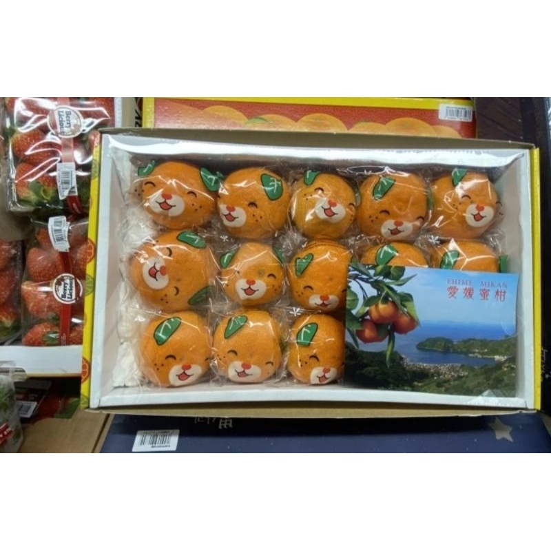 Jual Buah Jeruk Jepang Ehime Mikan Original Box | Shopee Indonesia