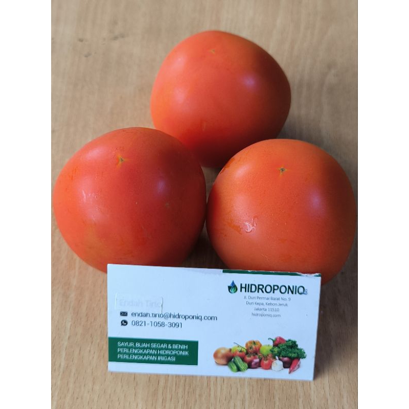 Jual Tomat Beef/Beef Tomato organik 1kg | Shopee Indonesia