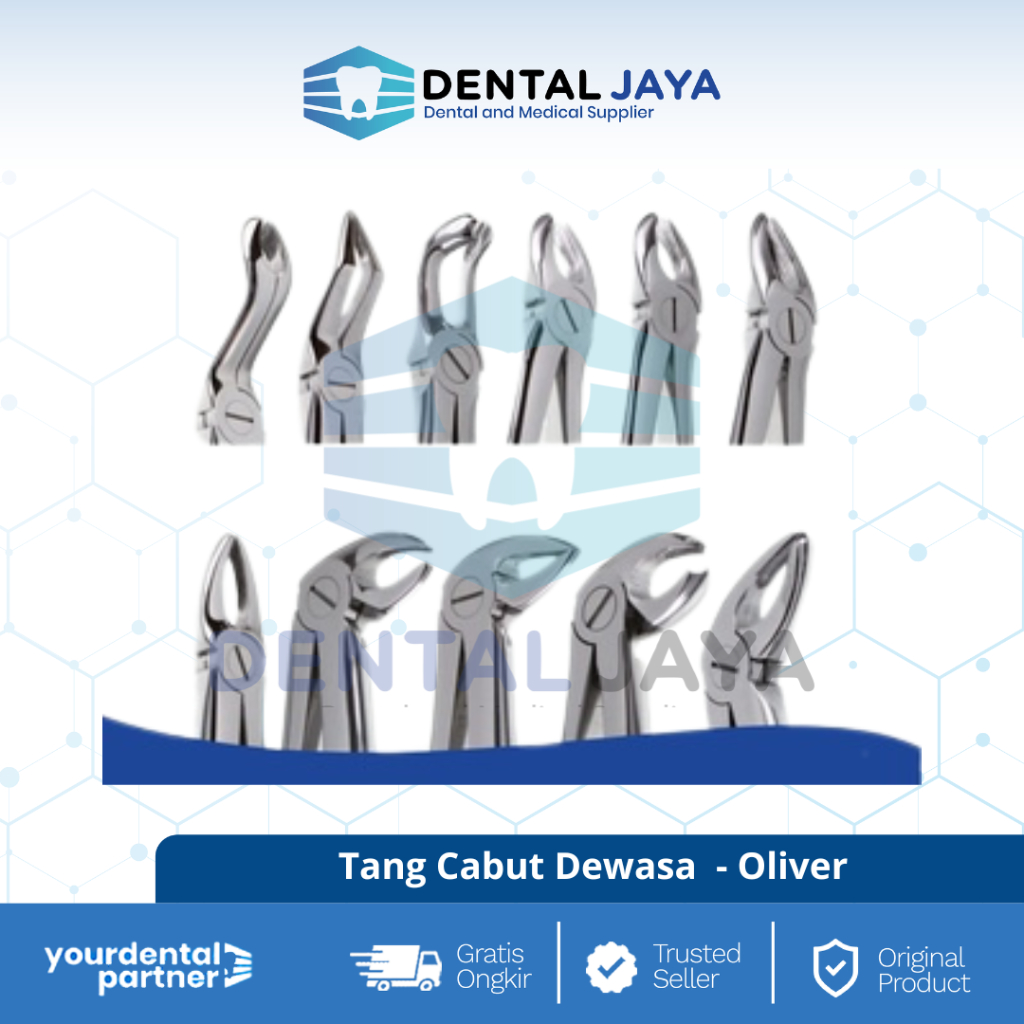 Jual ASDI Oliver Tang Cabut Gigi Dewasa | Tang Exo | Tang Cabut Ecer ...