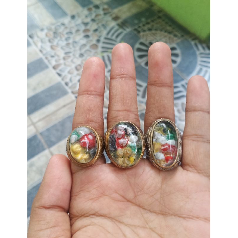 Jual Asli Kinyang Karang Aquascape | Shopee Indonesia