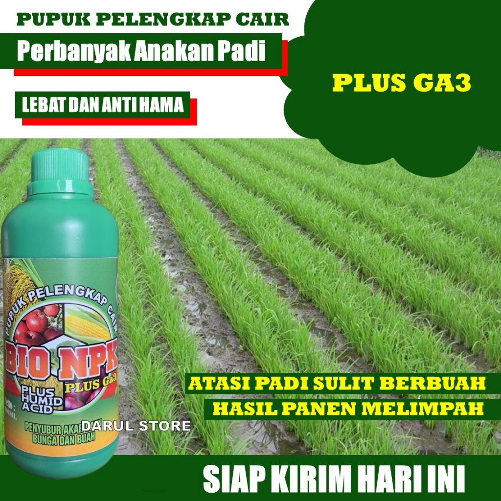 Jual (UNTUNG BESAR) Pupuk Ajaib Perangsang Anakan Padi - NPK GAZA GROW 500 ML Panen Padi Hasil ...