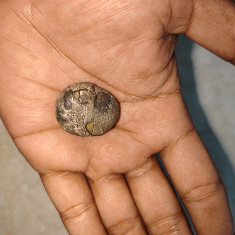 Jual batu mstika buntek rajabuaya putih sangat langka kuno sangat antik ...