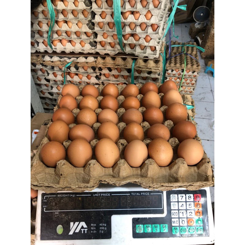 Jual Telur ayam negeri 30 butir/1 papan | Shopee Indonesia