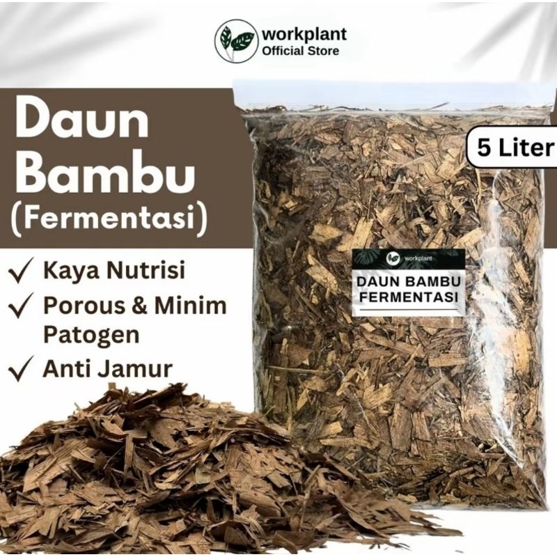 Jual Daun bambu kering cocok untuk media tanam | Shopee Indonesia