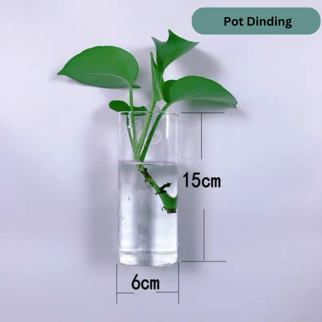 Jual Pot tanaman air tempel di dinding, vas bunga kaca dinding vertikal ...