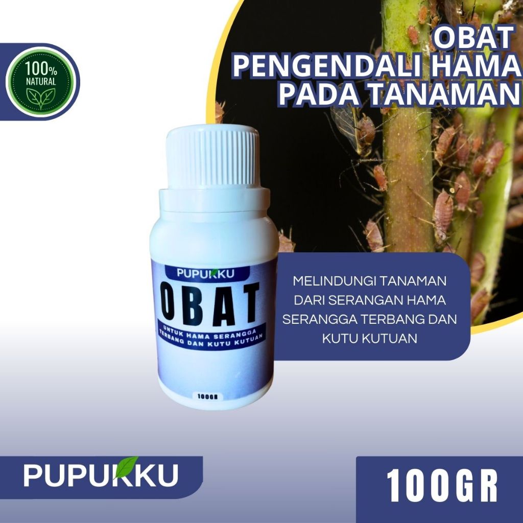 Jual Pestisida Alami Obat Wereng Hama terbang Kutu kebul Kutu Apis ...
