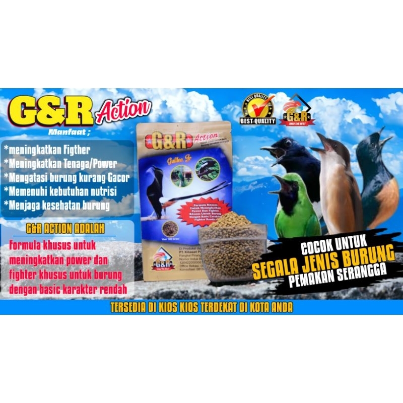Jual G&R action galileo jr voer kibasari evolution Pakan juara untuk ...
