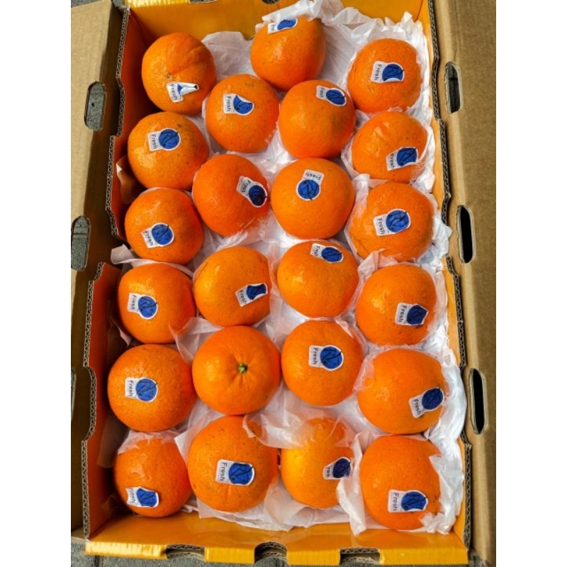 Jual jeruk wokam/ wogan mandarin manis | Shopee Indonesia