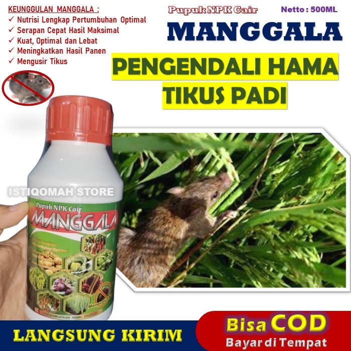 Jual MANGGALA 500ML Pupuk NPK Cair Pengendali dan Pengusir Tikus Ampuh - Obat Padi Pembasmi Hama ...