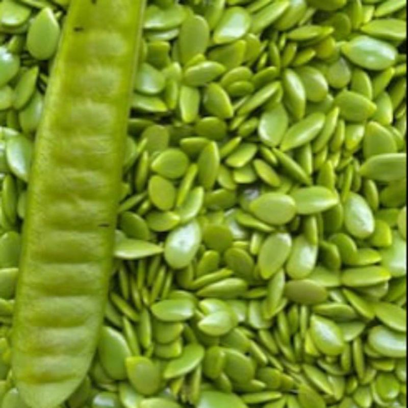 Jual Petai China Segar 30gr | Shopee Indonesia