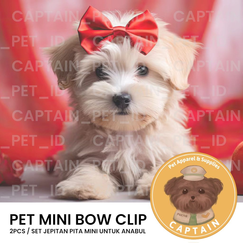 Jual DOG BOW RIBBON PITA LUCU HAIR CLIP ANJING POODLE BICHON MALTIPOO ...