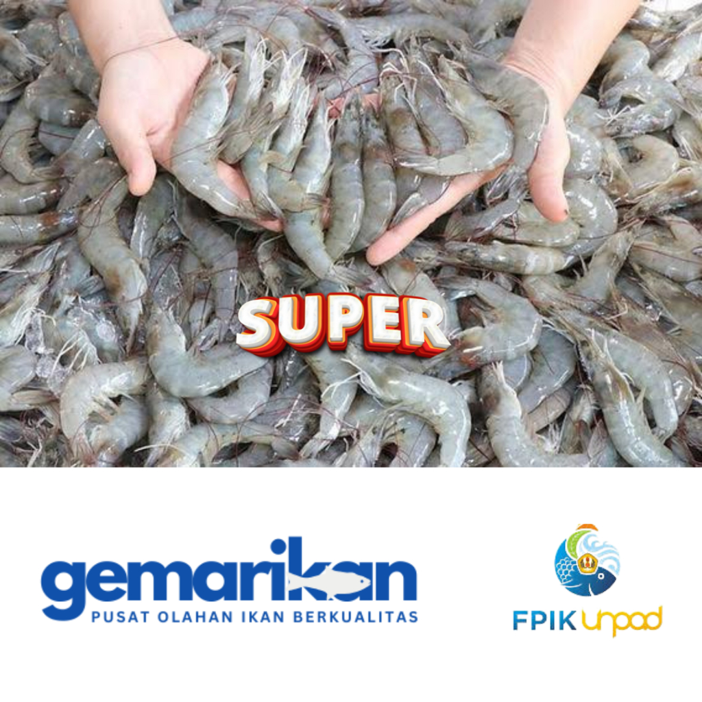Jual Udang Vanname SUPER Fresh Segar dan Frozen Berkualitas 500 gram ...