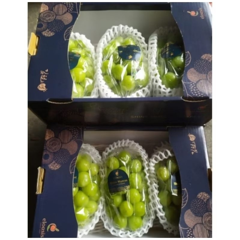 Jual ANGGUR MUSCAT KOREA GIFTBOX 2kg | Shopee Indonesia