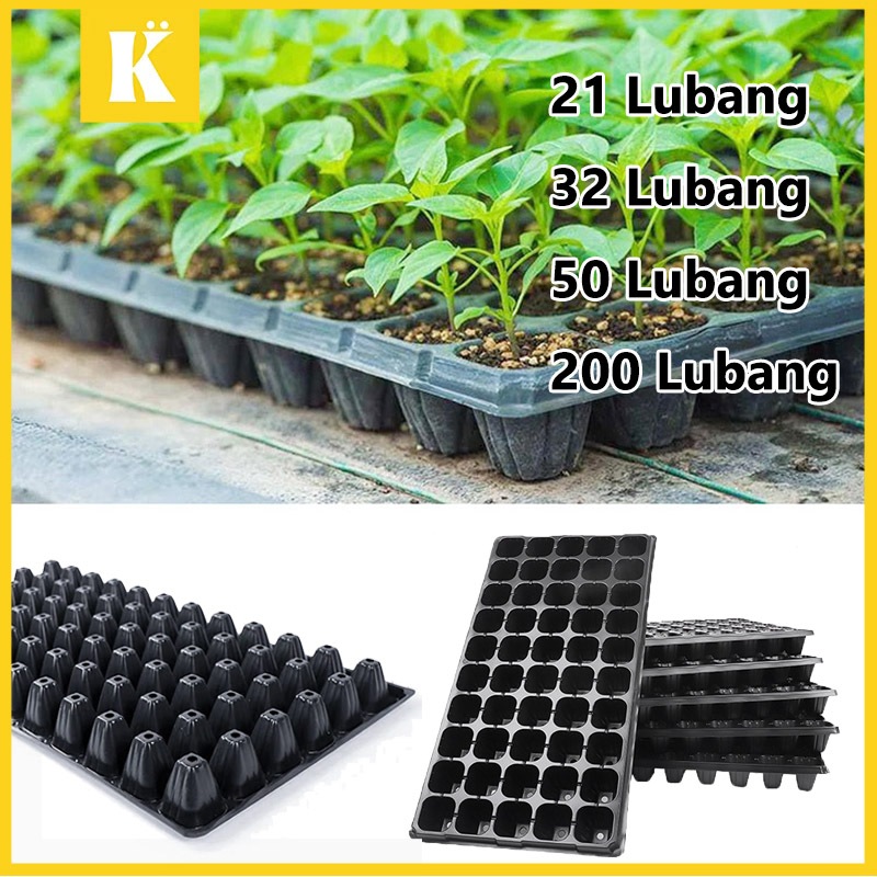 Jual Tray Semai Pot Tray Penyemaian Bibit Tanaman 21/32/50/72/105/128 ...