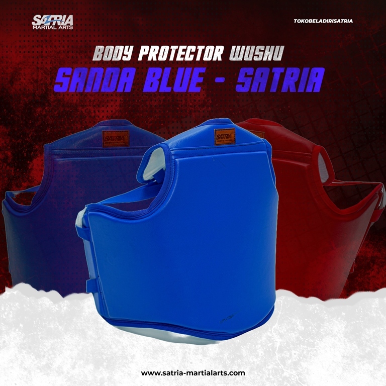 Jual BODY PROTECTOR WUSHU SANDA SATRIA | Shopee Indonesia