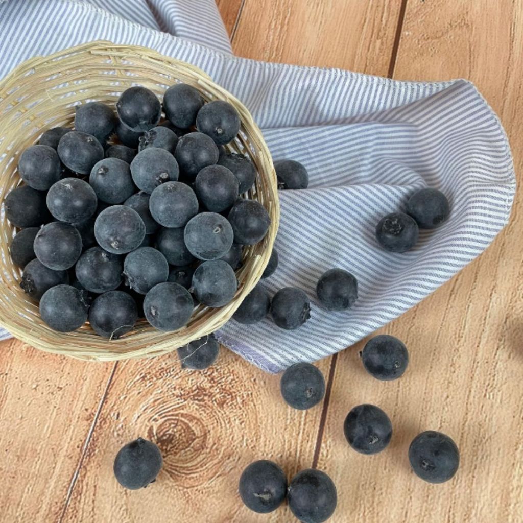 Jual HEYPROPS Blueberry artificial props foto - buah plastik properti ...