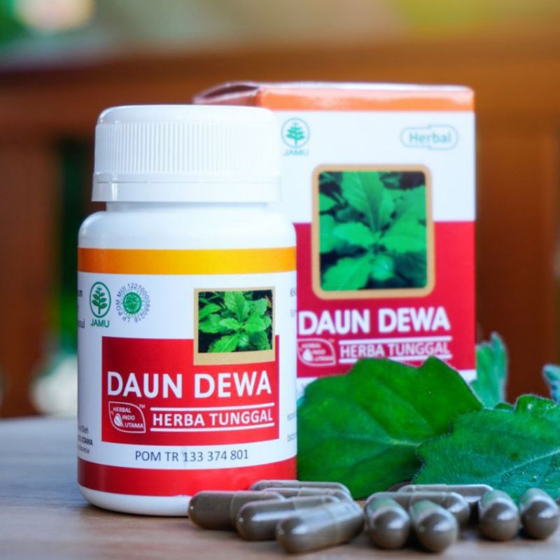 Jual Kapsul DAUN DEWA - Kapsul ekstrak Daun Dewa Herbal Indo Utama HiU Al Afiat | Shopee Indonesia