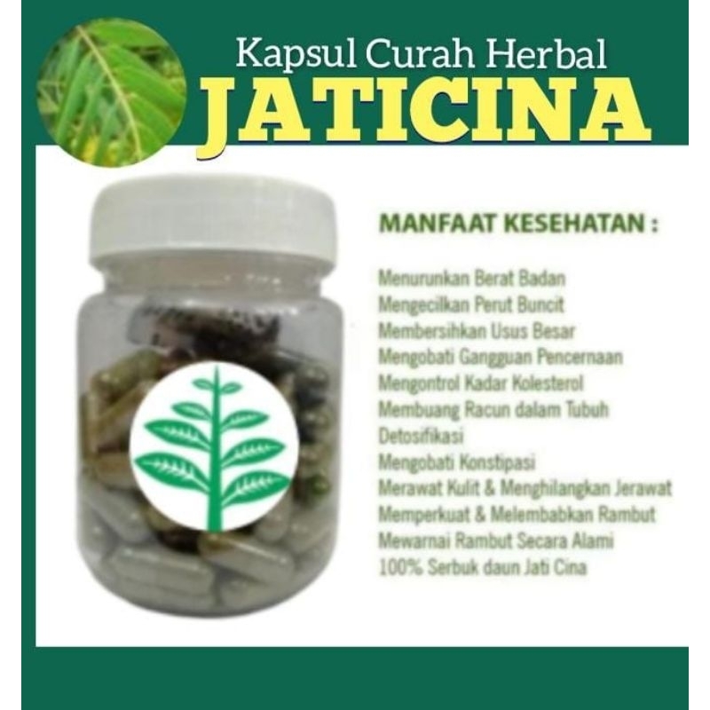 Jual PELANGSING ALAMI DAUN JATICINA SERBUK BENTUK KAPSUL (isi 100 Pcs ...