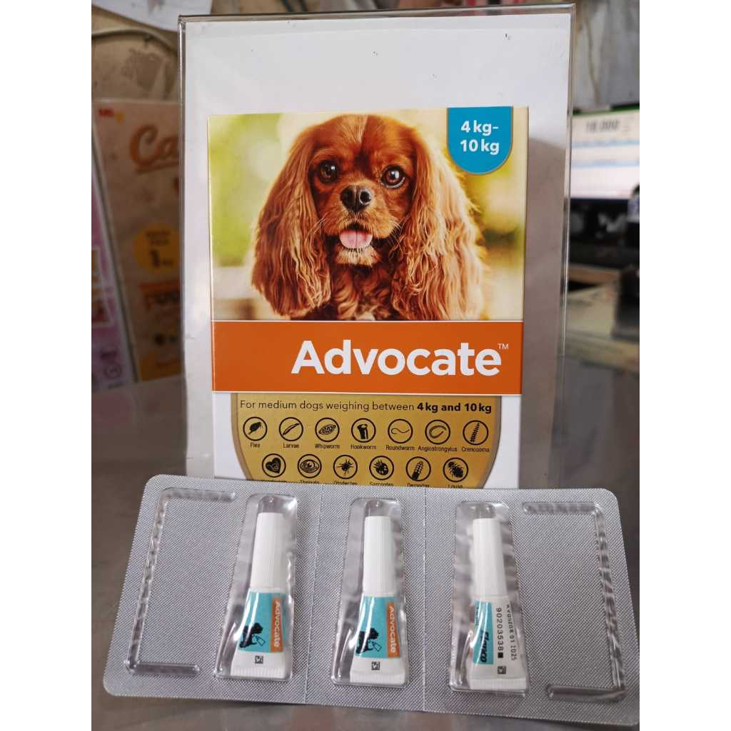 Jual ADVOCATE 1 ML/ OBAT KUTU UNTUK ANJING | Shopee Indonesia